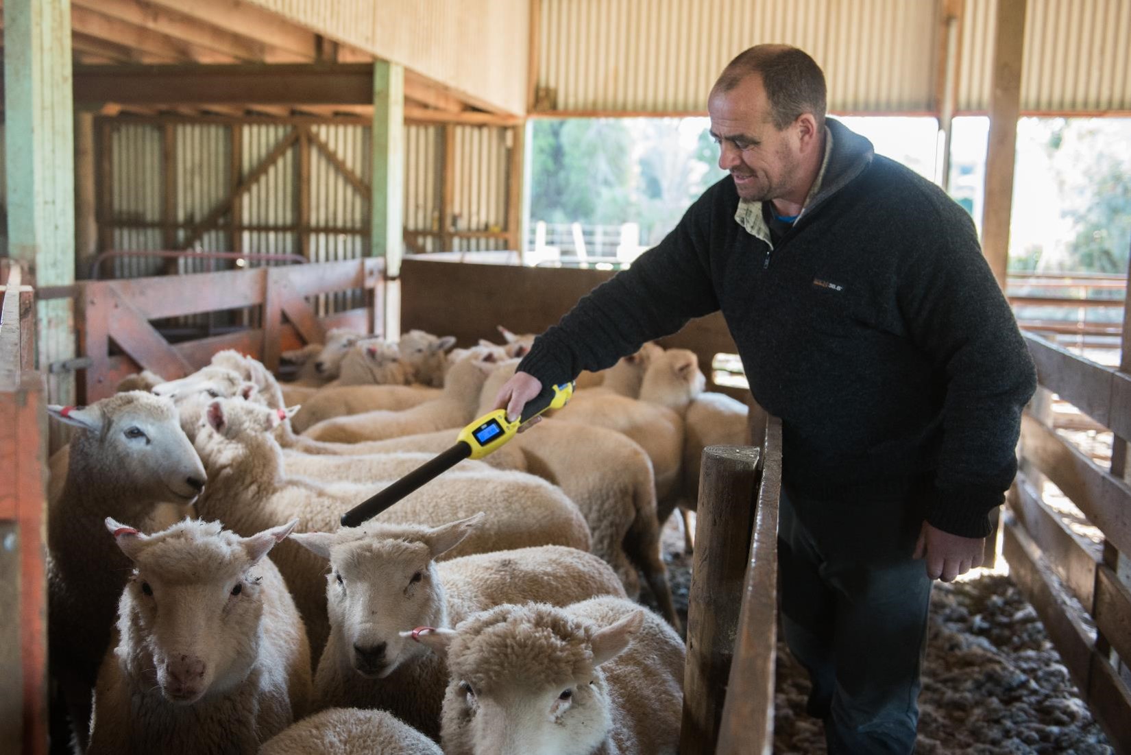 Animal containment facility - Ground Rules