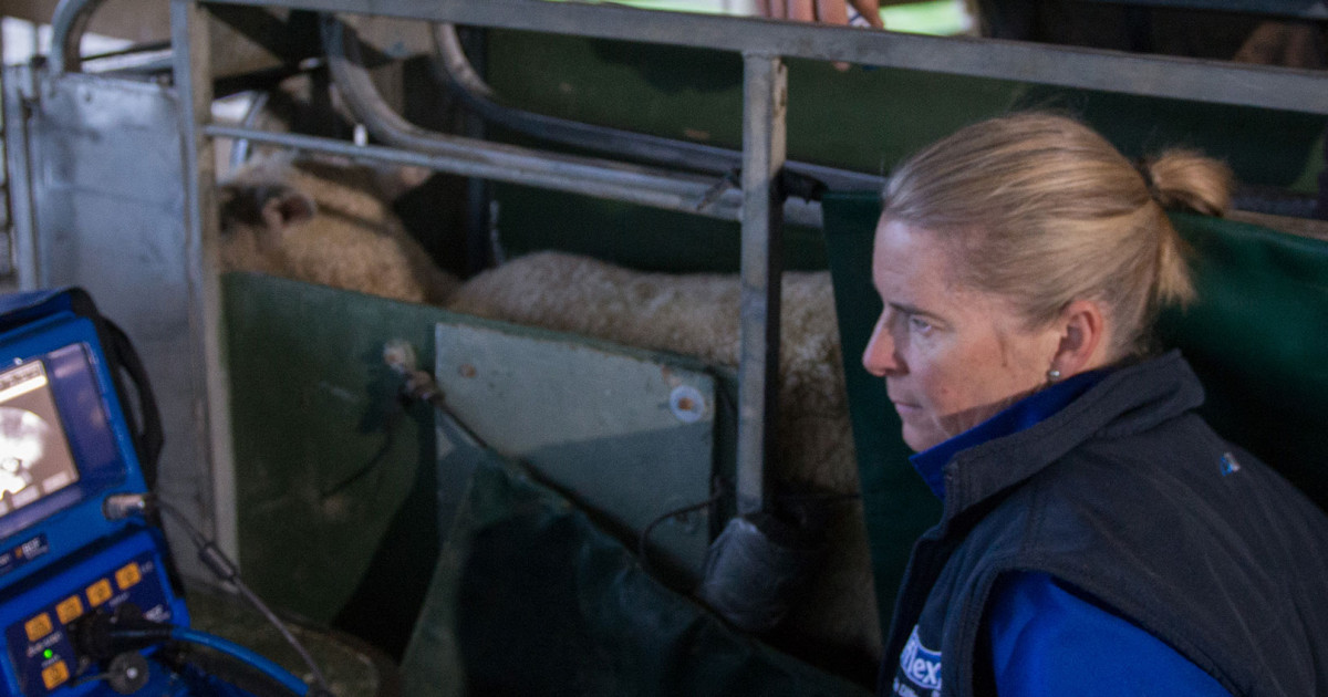 Breeding - Ground Rules