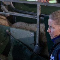 Breeding - Ground Rules