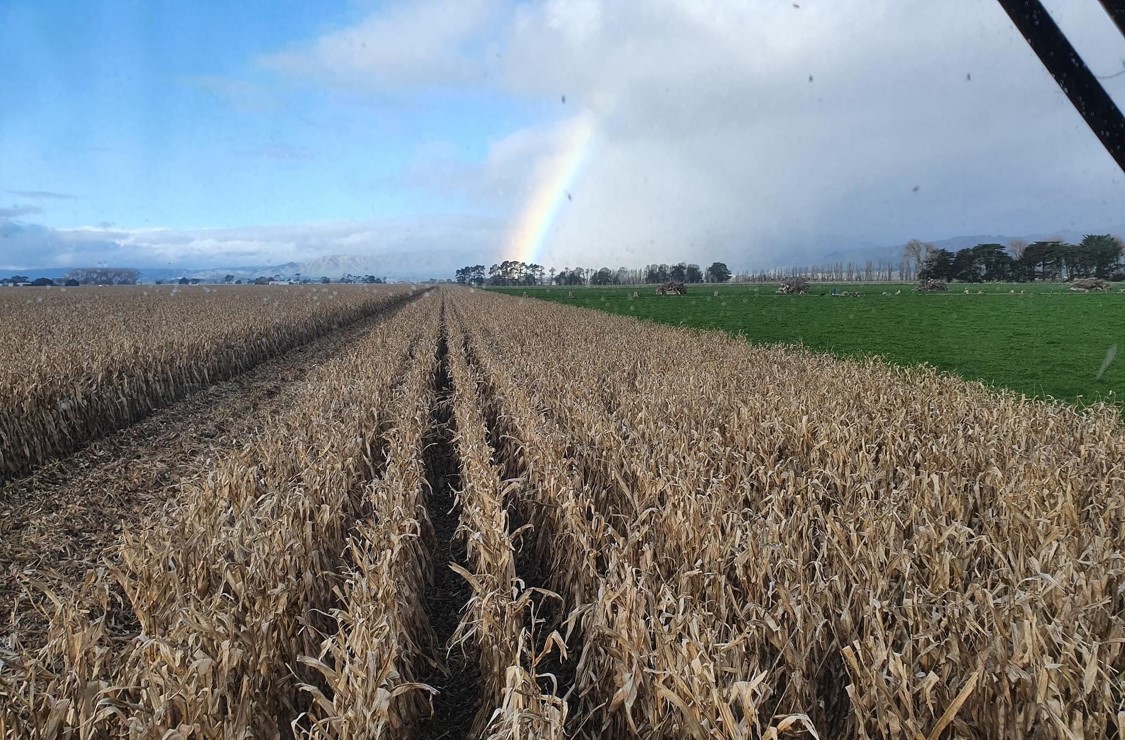 Harvesting - Ground Rules