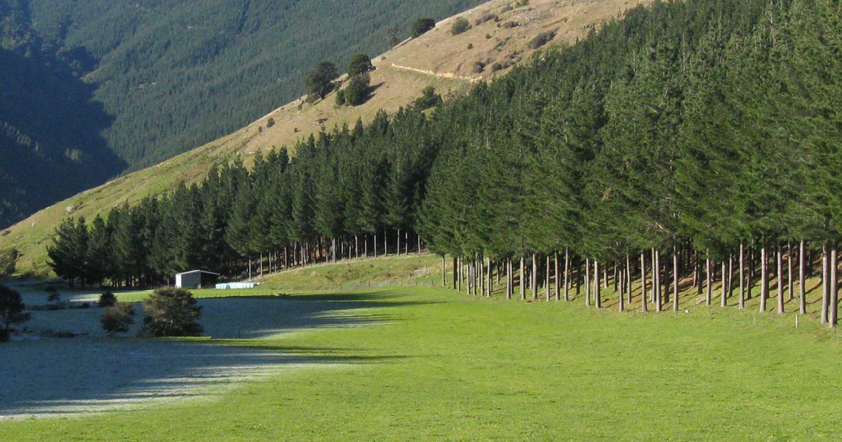 Environment - Ground Rules