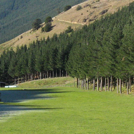 Recontouring - Ground Rules