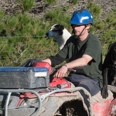 Staff training - Ground Rules